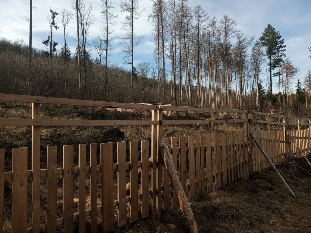 Postavení či zrekonstruování oplocení z lesnického pletiva ...